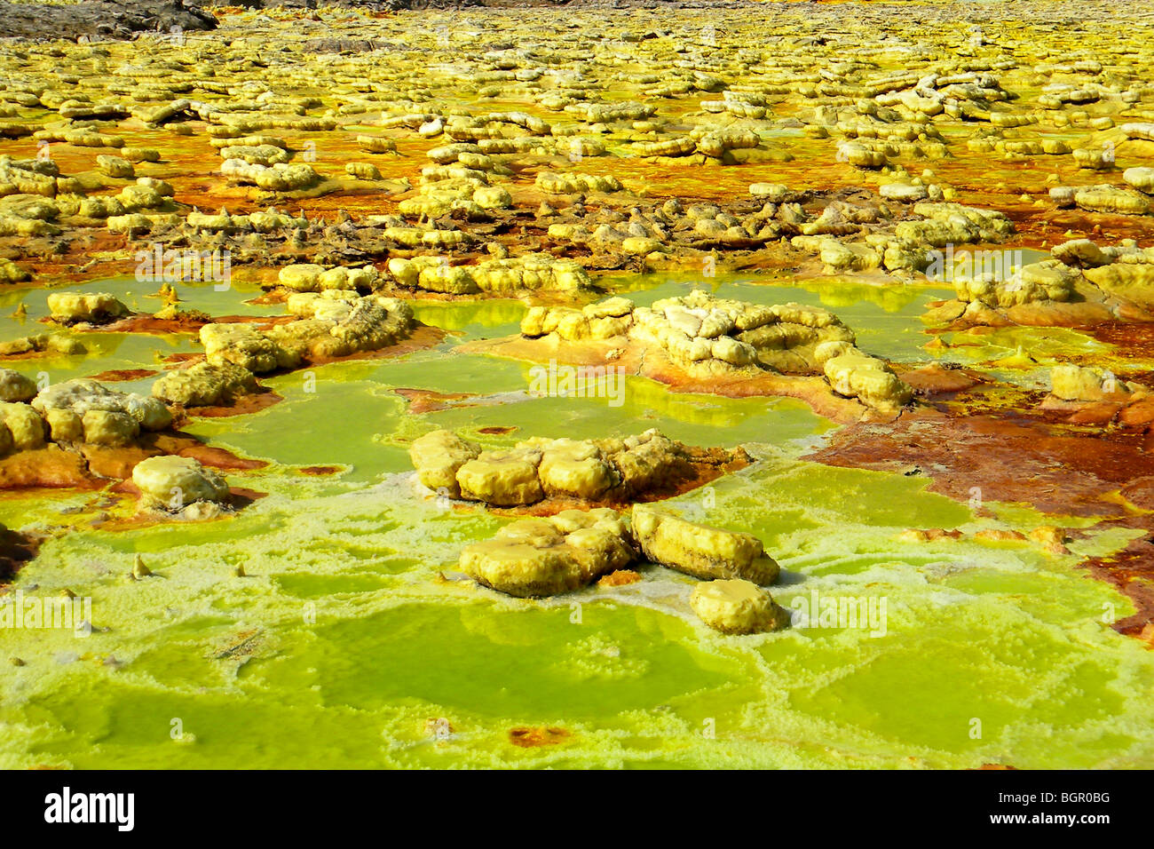 Sulfuric acid hi-res stock photography and images - Alamy