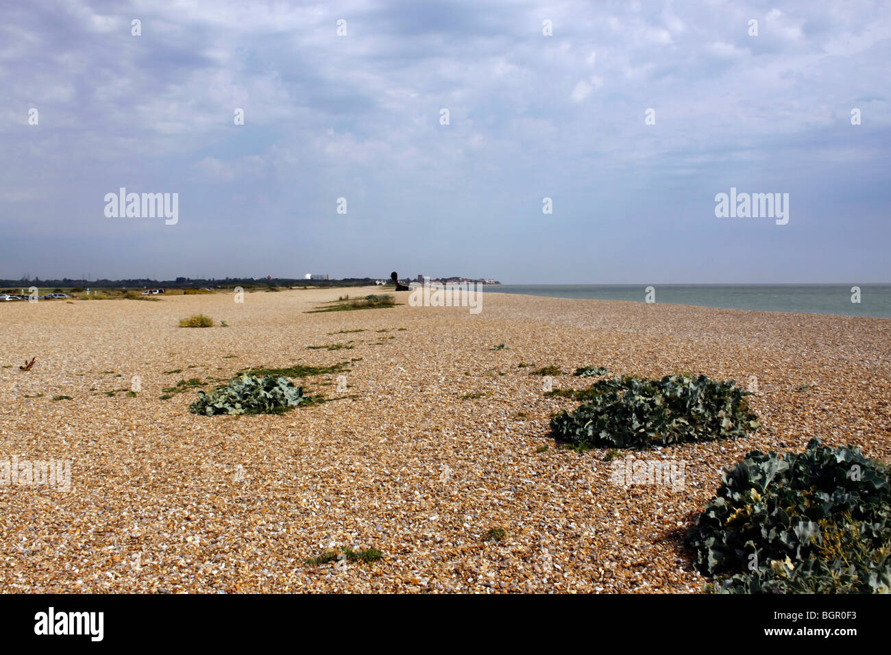 Aldeburgh coastline hi-res stock photography and images - Alamy