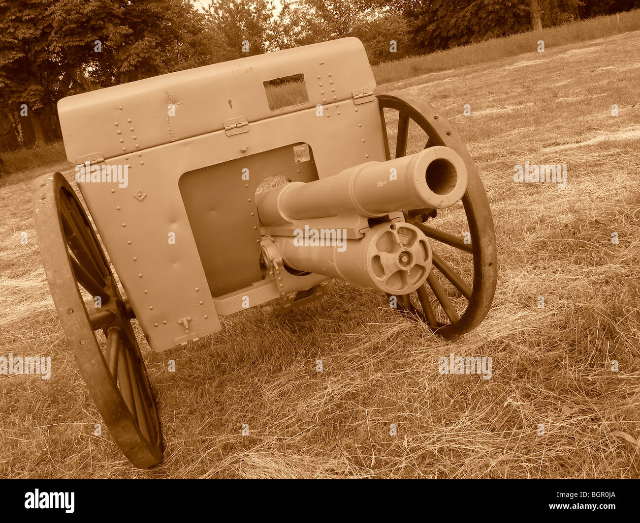 Obsolete cannons of the First World War Stock Photo - Alamy