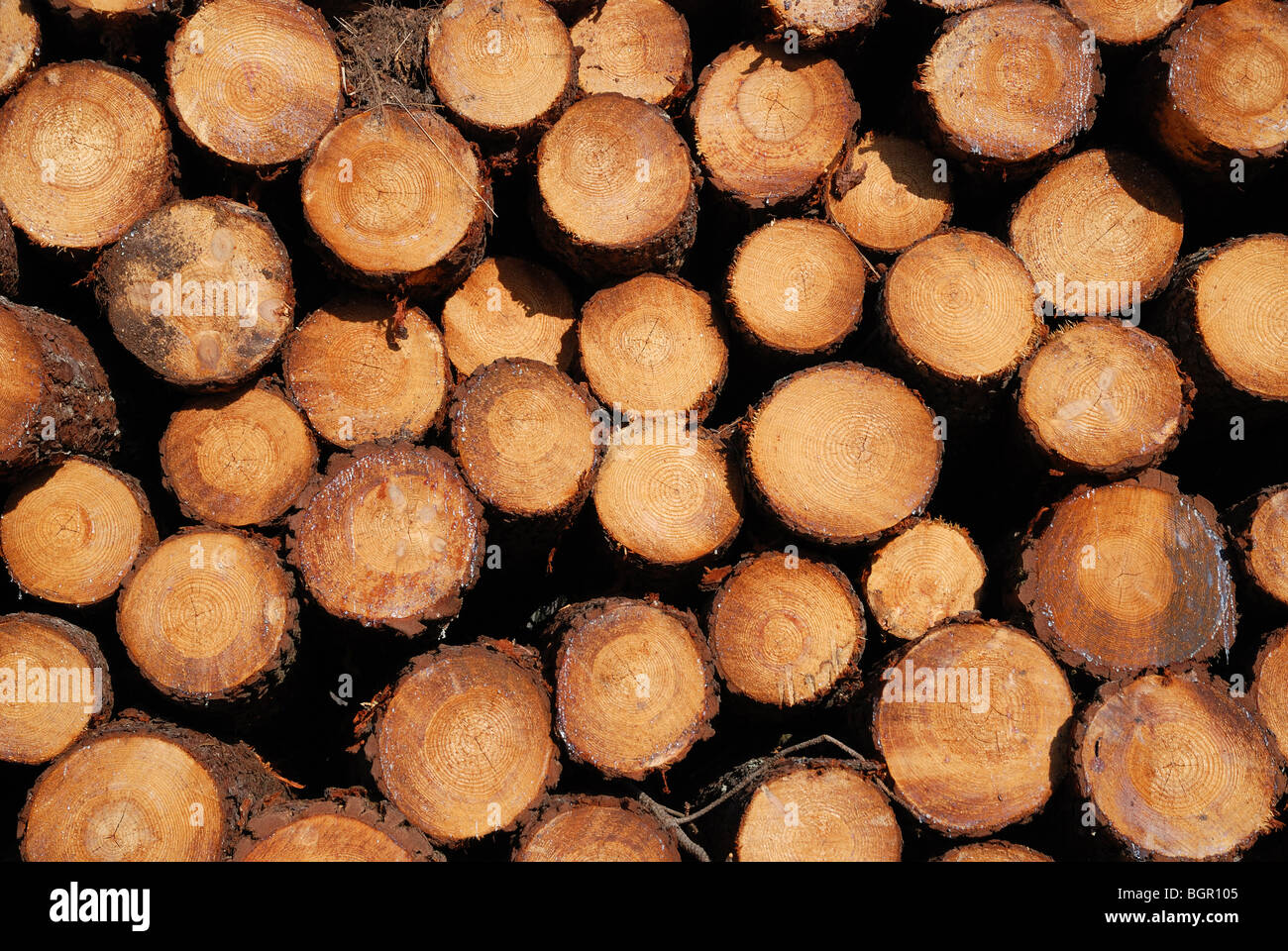 Close up stack woods hi-res stock photography and images - Alamy