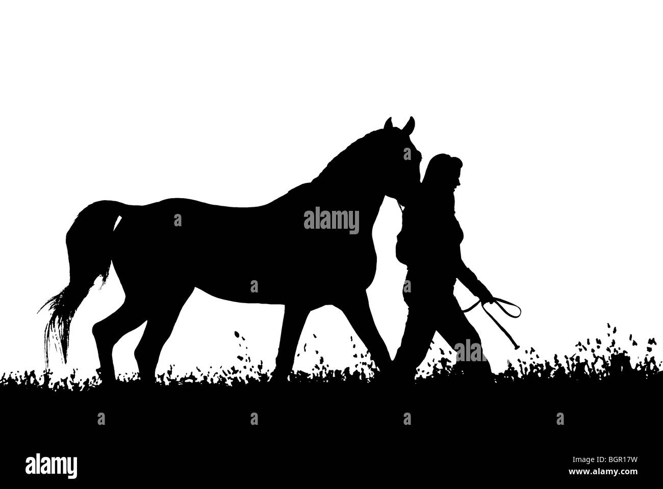 Horse And Rider Silhouette Walking