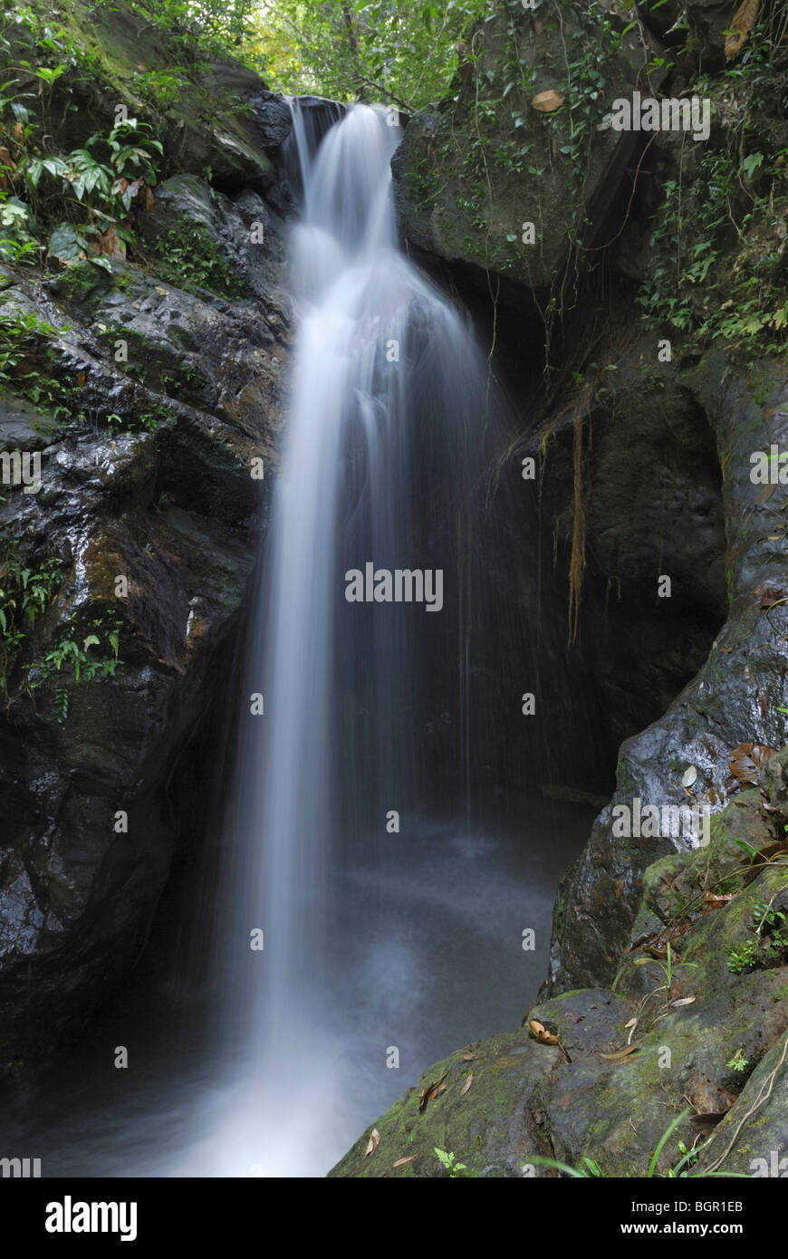 Waterfalls belize hi-res stock photography and images - Alamy