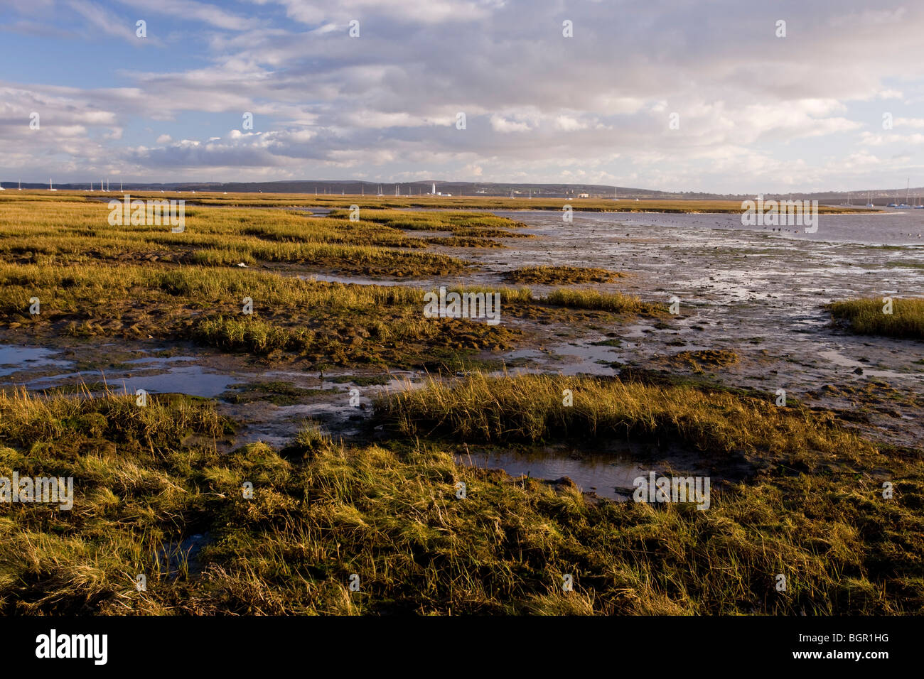 Keyhaven Marshes Nature Reserve, near Lymington, on the edge of the New ...
