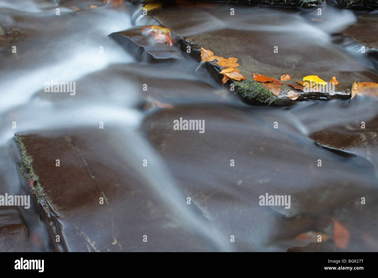A mountain stream in Central Balkan National Park, autumn, Bulgaria ...