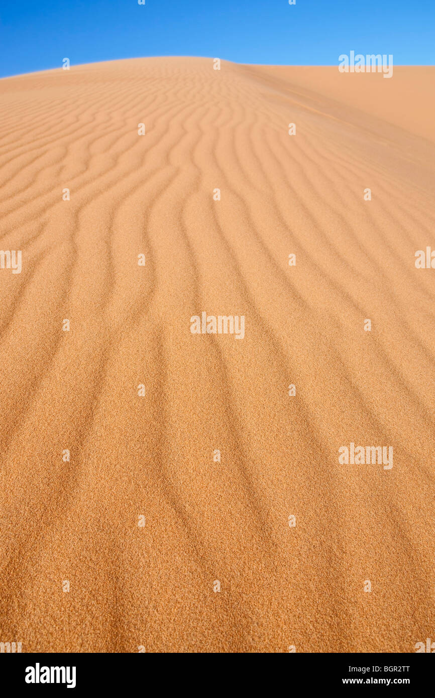 desert sand dune in the Sahara with cloudless blue sky Stock Photo - Alamy