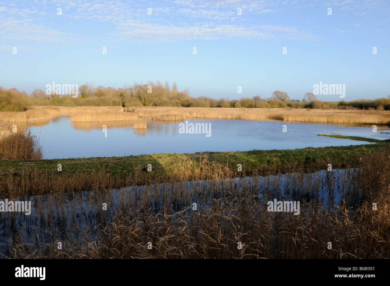 Fowlmere rspb nature reserve hi-res stock photography and images - Alamy