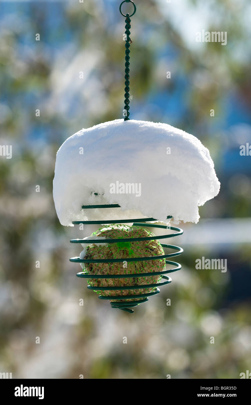 Fat ball cage hi-res stock photography and images - Alamy