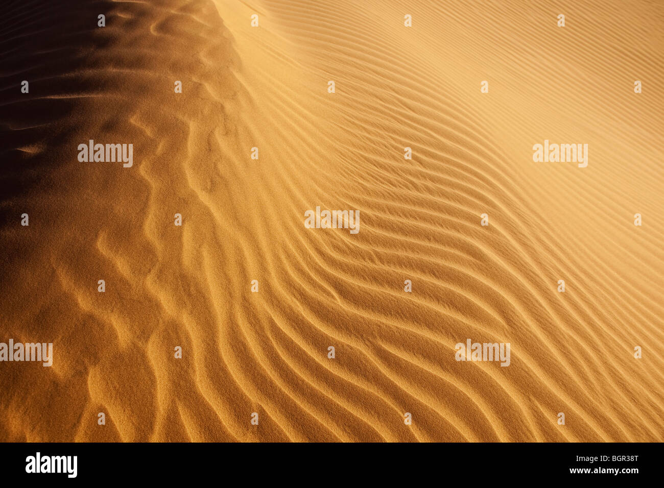 Desert sand dune detail pattern hi-res stock photography and images - Alamy