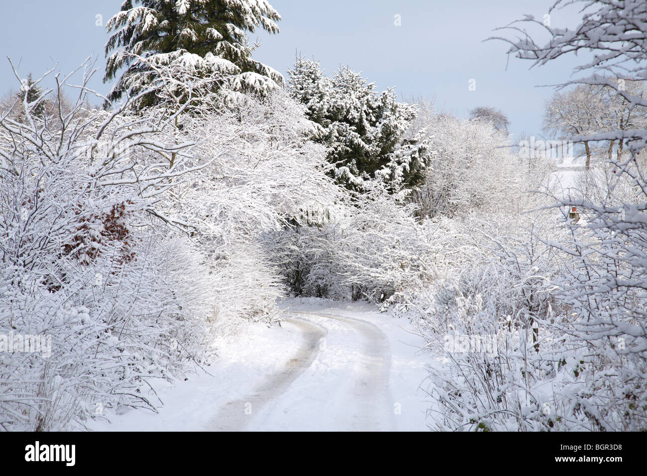 British country lanes hi-res stock photography and images - Alamy