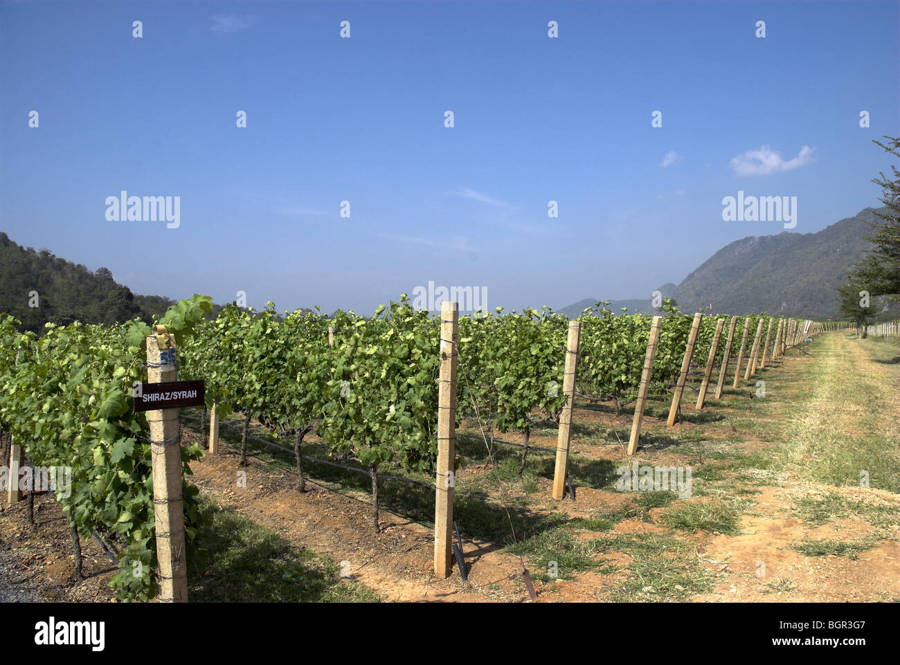 Granmonte Estate, Asoke Valley, Khao Yai,Thailand Stock Photo - Alamy