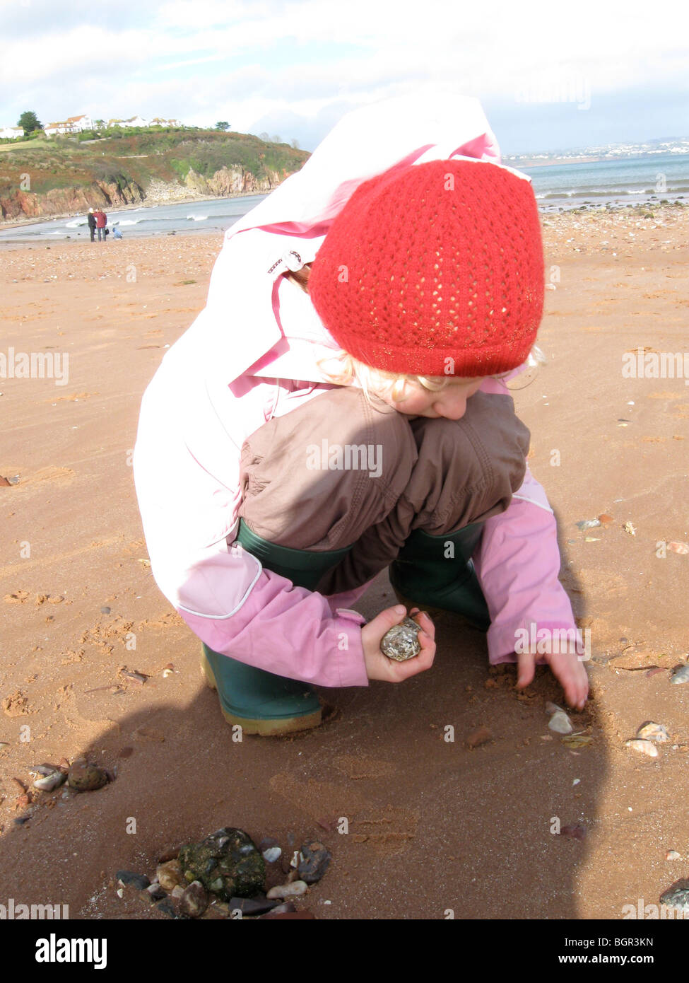 6 shells hi-res stock photography and images - Alamy