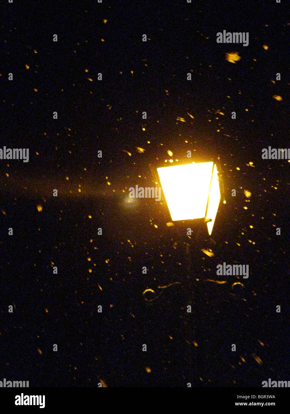 Gently falling snow at night hi-res stock photography and images - Alamy