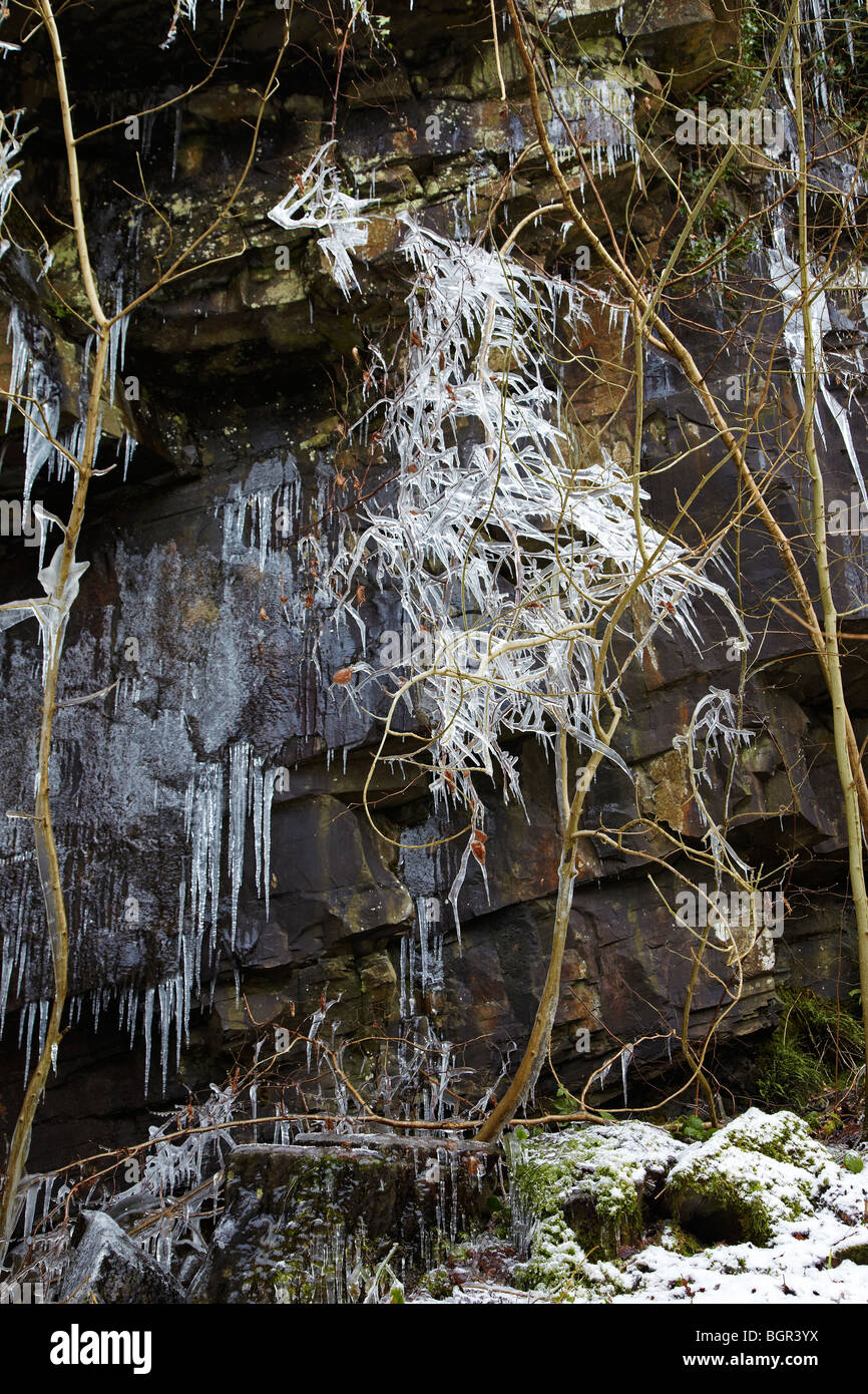 Icicles on the Trees and Rock faces at Pontneddfechan, along the River ...