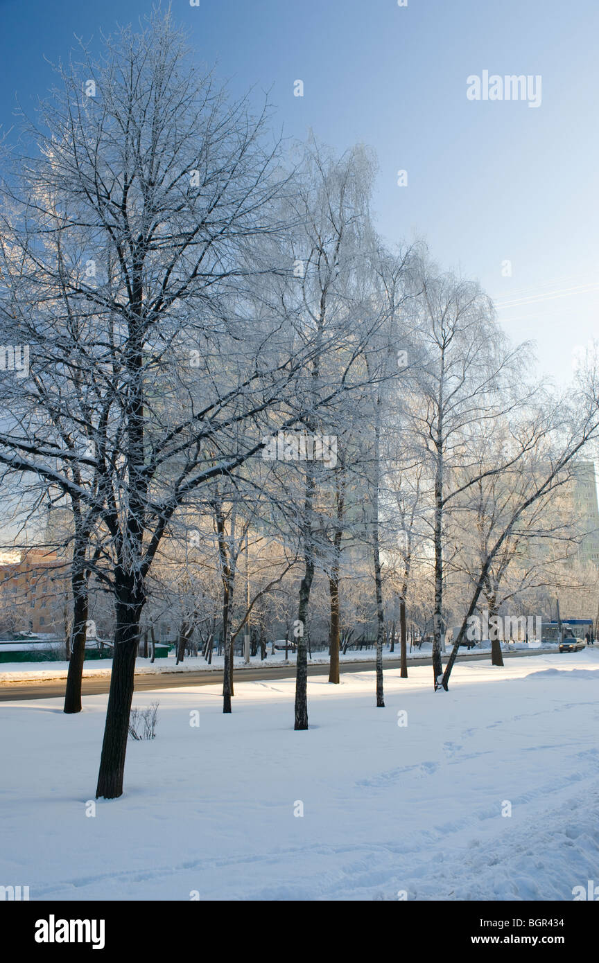 Russia Moscow winter in the snow city Stock Photo - Alamy