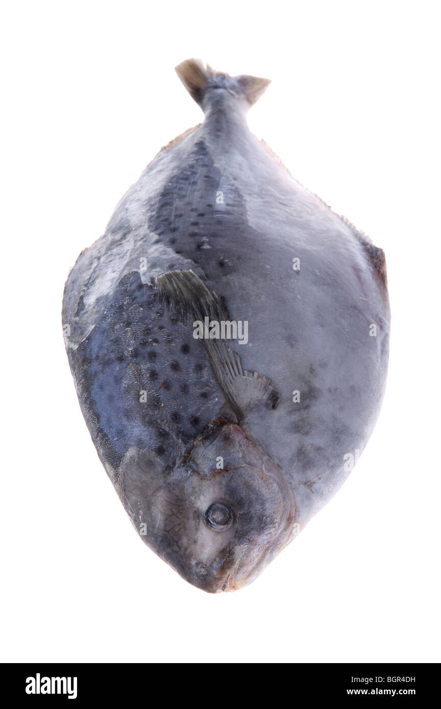 object on white - fish on ice close up Stock Photo - Alamy