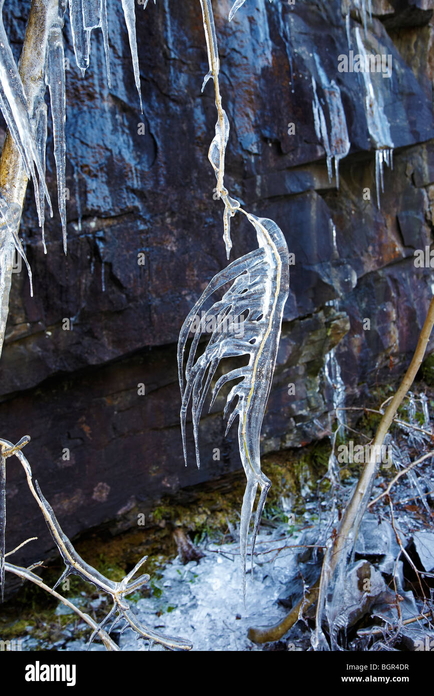 Icicles on the Trees and Rock faces at Pontneddfechan, along the River ...