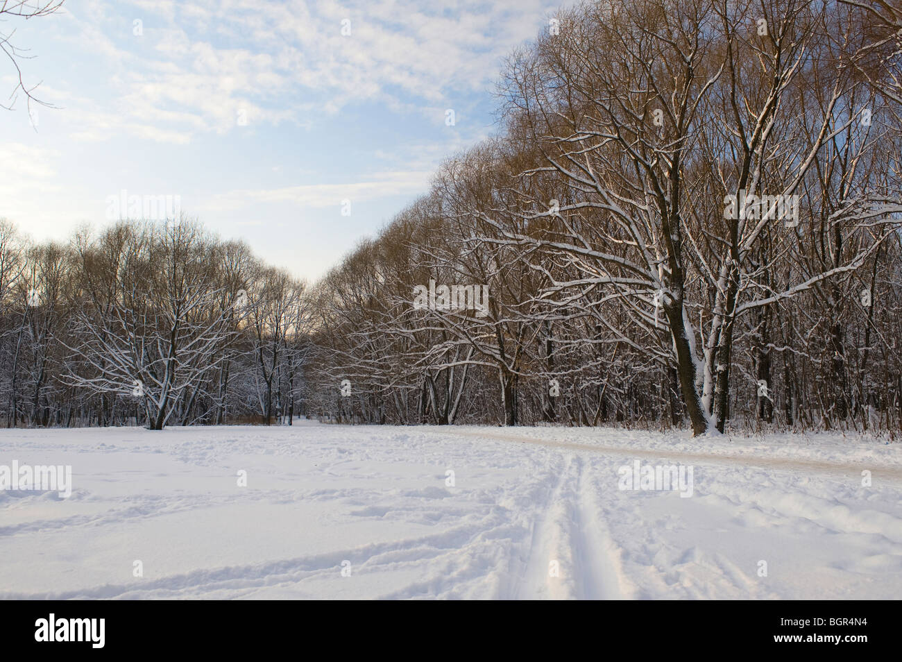 Frost track line hi-res stock photography and images - Alamy