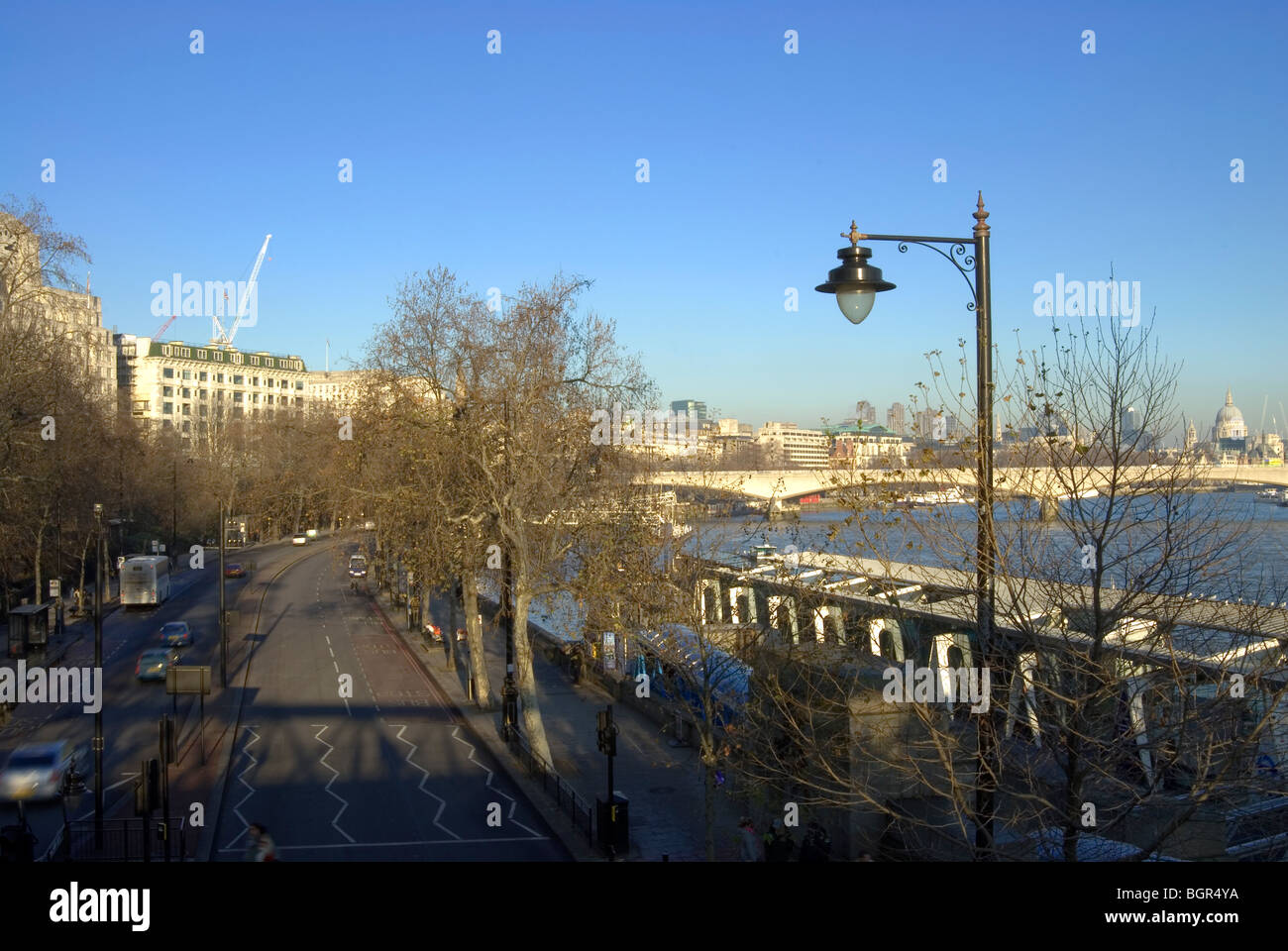 London embankment trees hi-res stock photography and images - Alamy