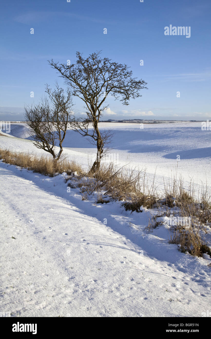 Snowy Raven Dale on the Yorkshire Wolds in North Yorkshire Route of the ...