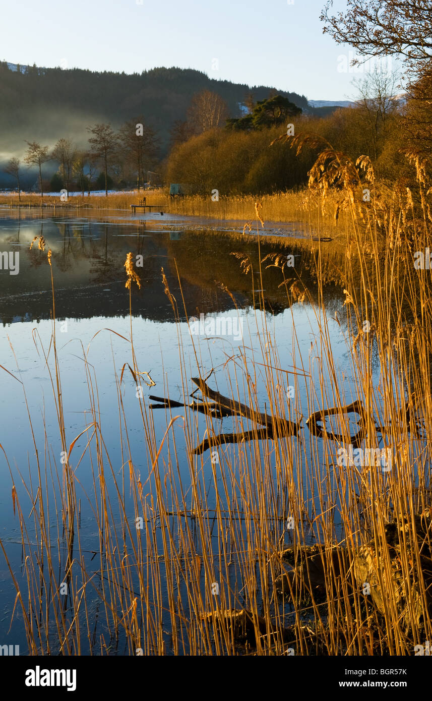 Loch Ard in The Trossachs, Aberfoyle, Scotland Stock Photo - Alamy