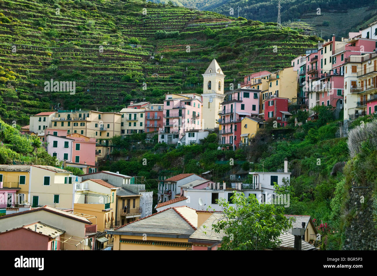 The up hill portion of Manarola, Liguria , Italy Stock Photo - Alamy