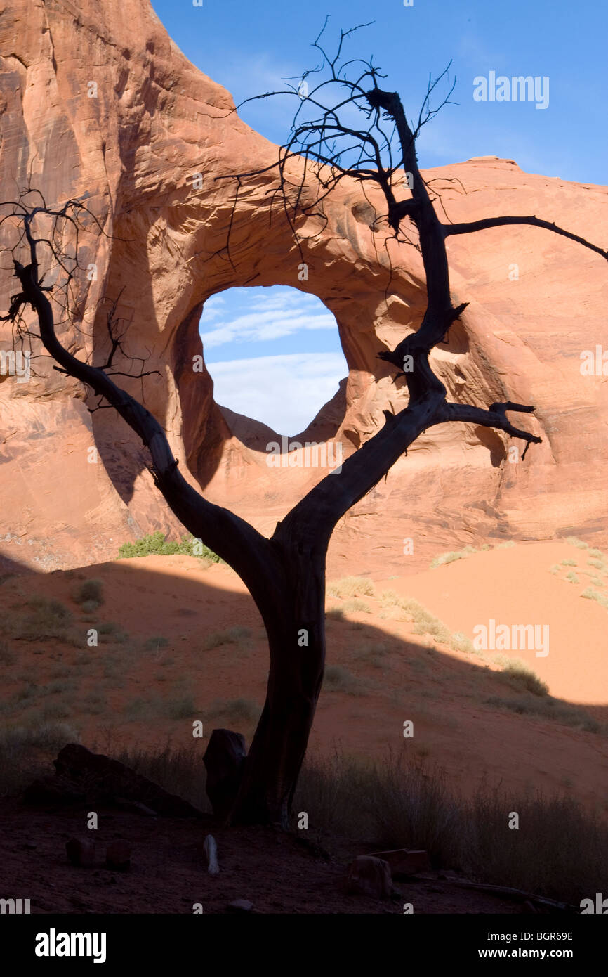 Windblown sandstone in Monument Valley Utah Stock Photo - Alamy