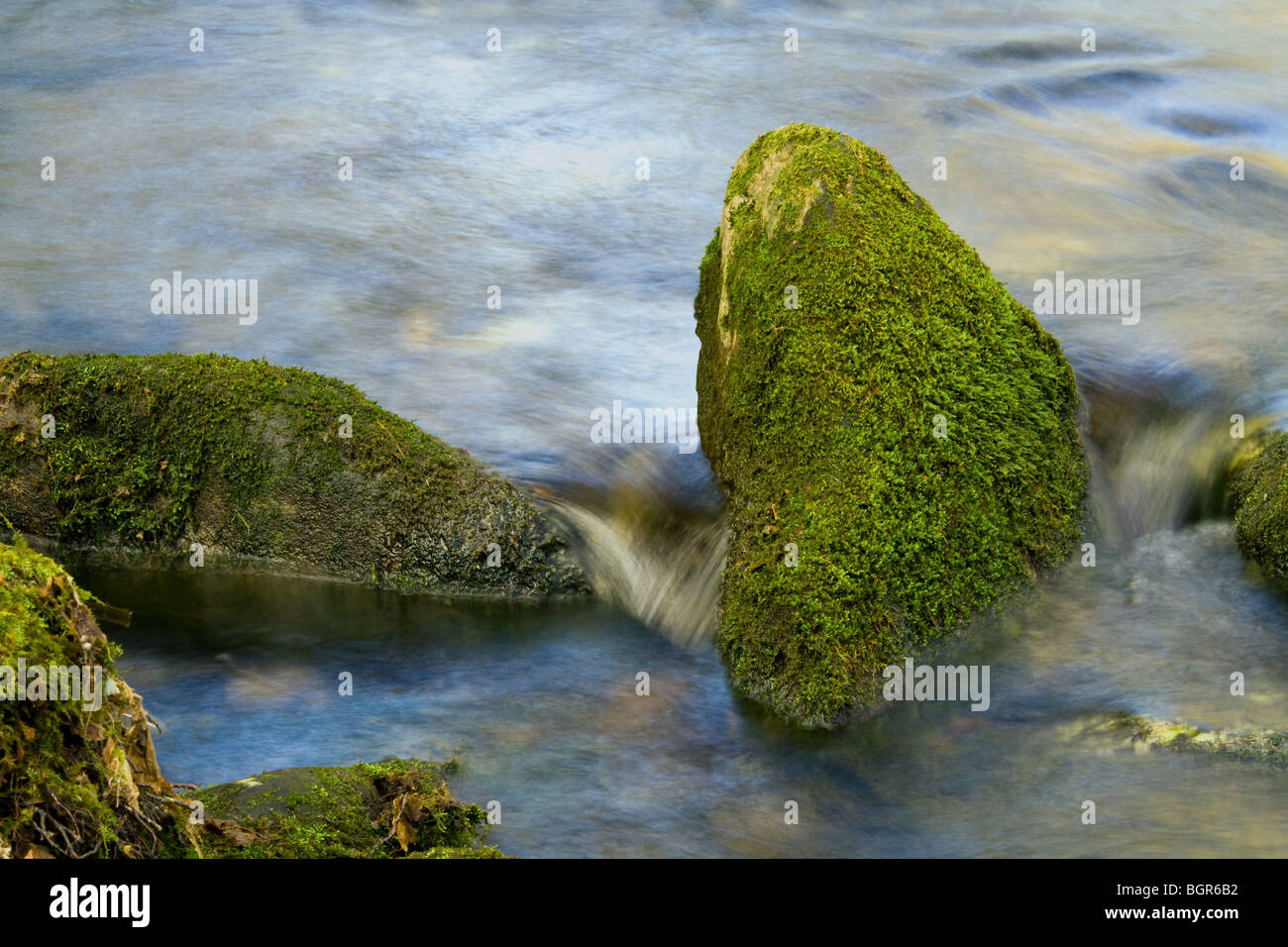 Fluid movement of water around moss covered river rocks Stock Photo - Alamy