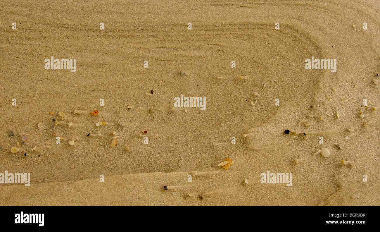 Wind erosion beach hi-res stock photography and images - Alamy