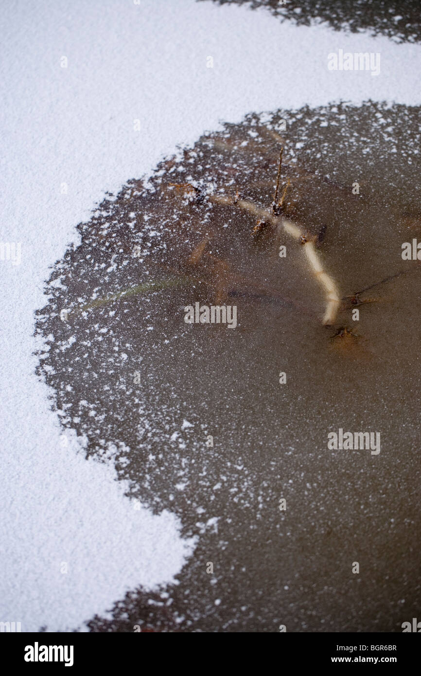 Melting snow on the ice covered surface of a drainage dyke. Calthorpe ...