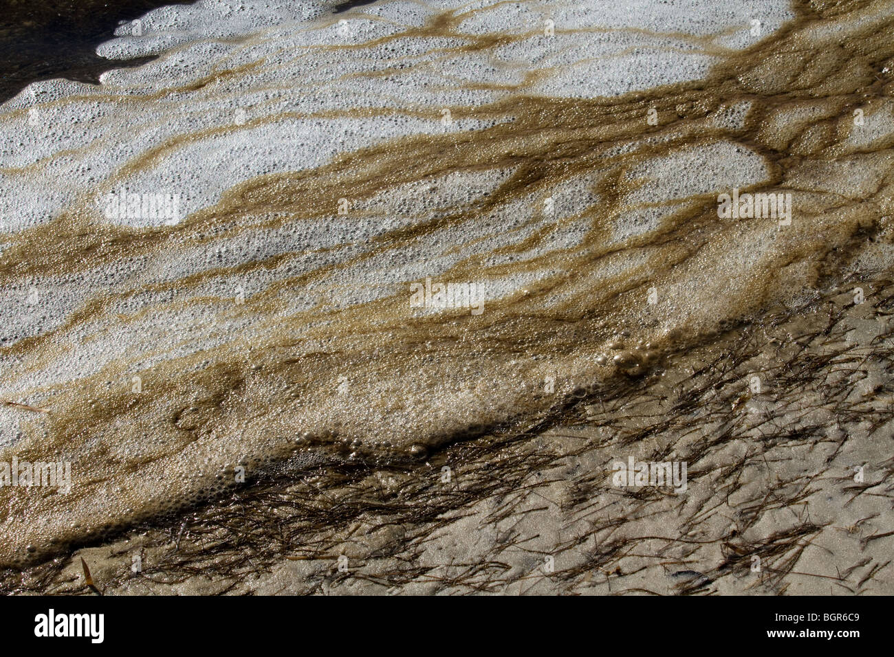 Foam caused by water pollution Stock Photo - Alamy