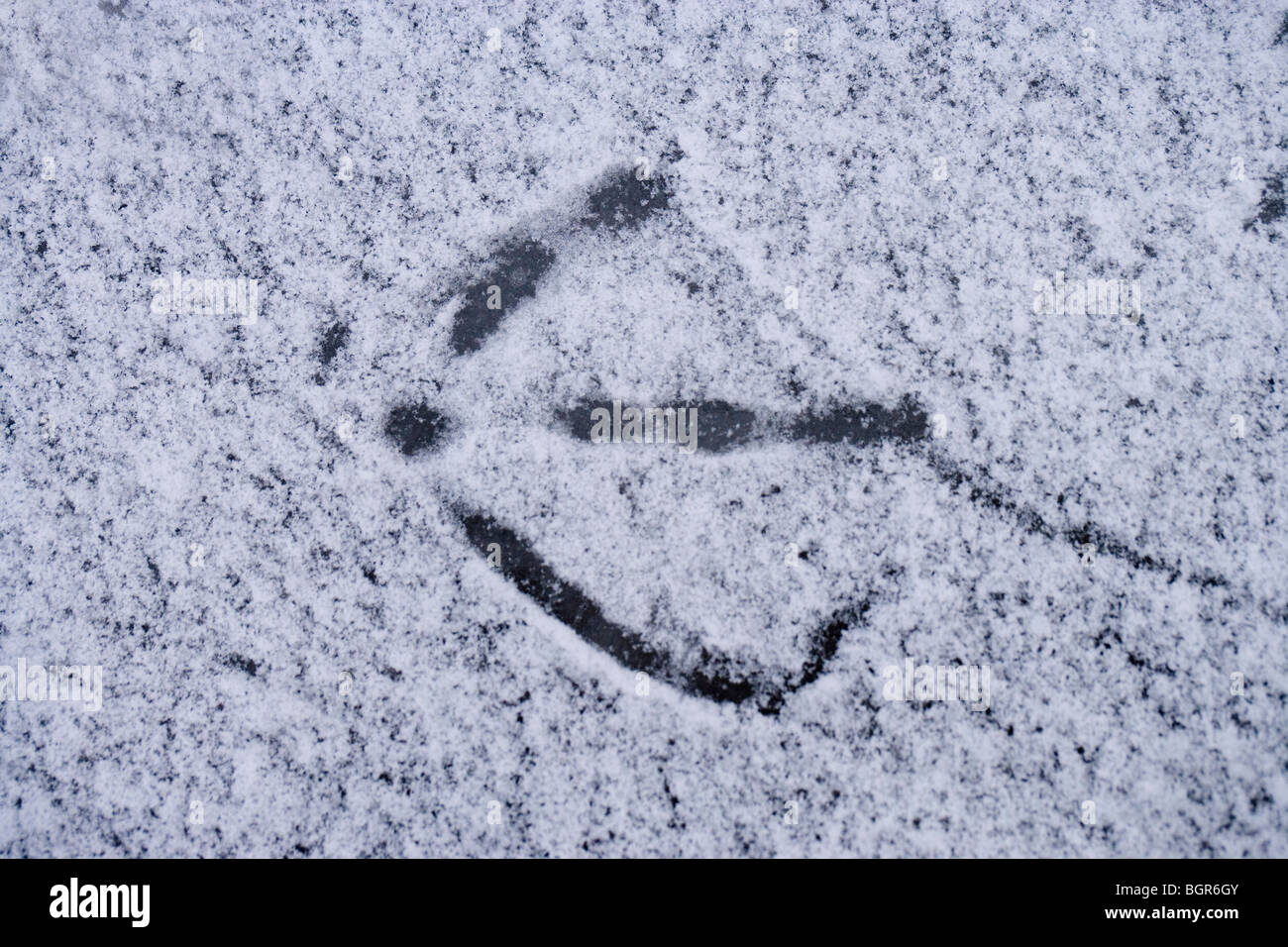 Swan footprints hi-res stock photography and images - Alamy