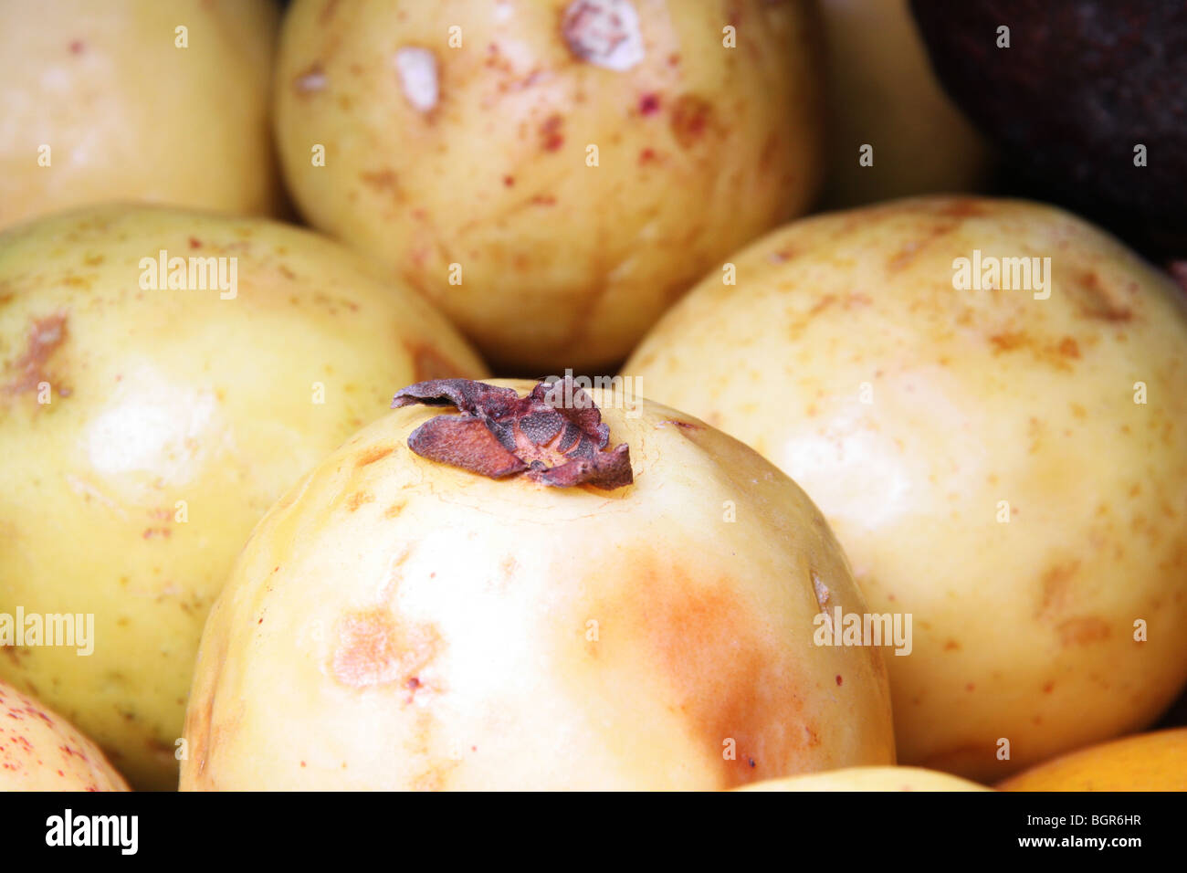 Yellow guava fruit hi-res stock photography and images - Alamy