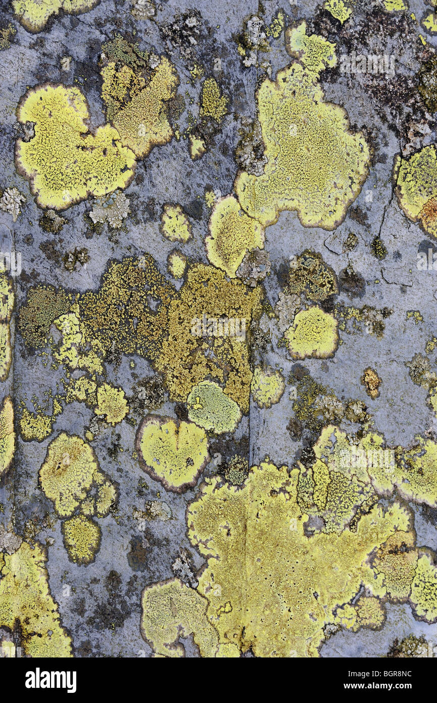 Migneint hi-res stock photography and images - Alamy