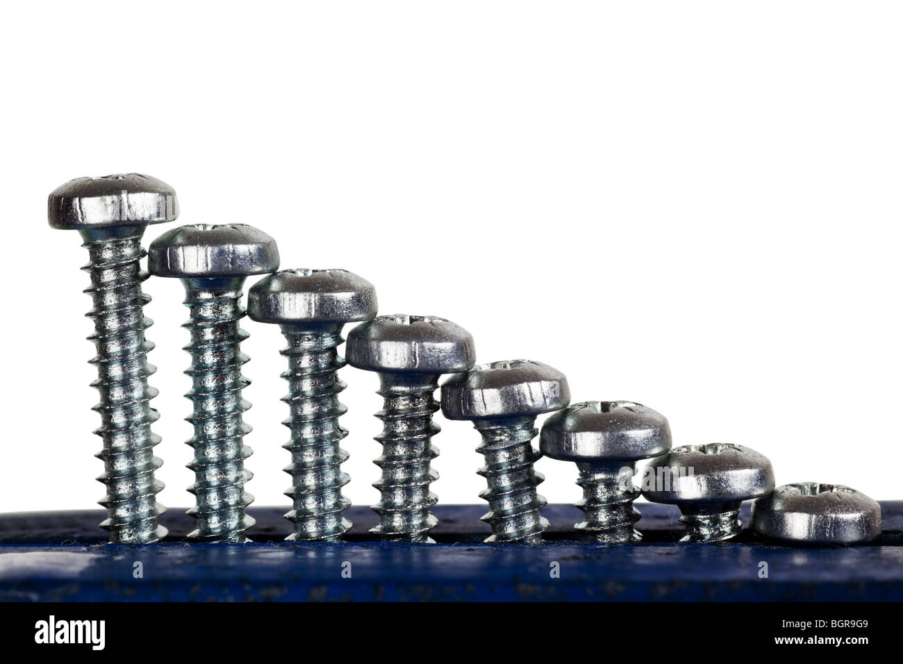 Rows of screws isolated on white background Stock Photo - Alamy