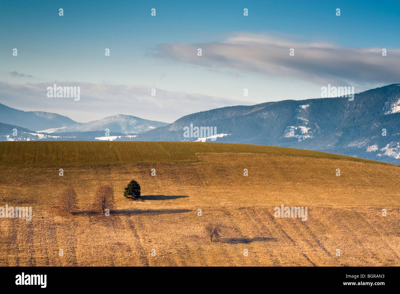 Winter fields on Liptov, Slovakia Stock Photo - Alamy