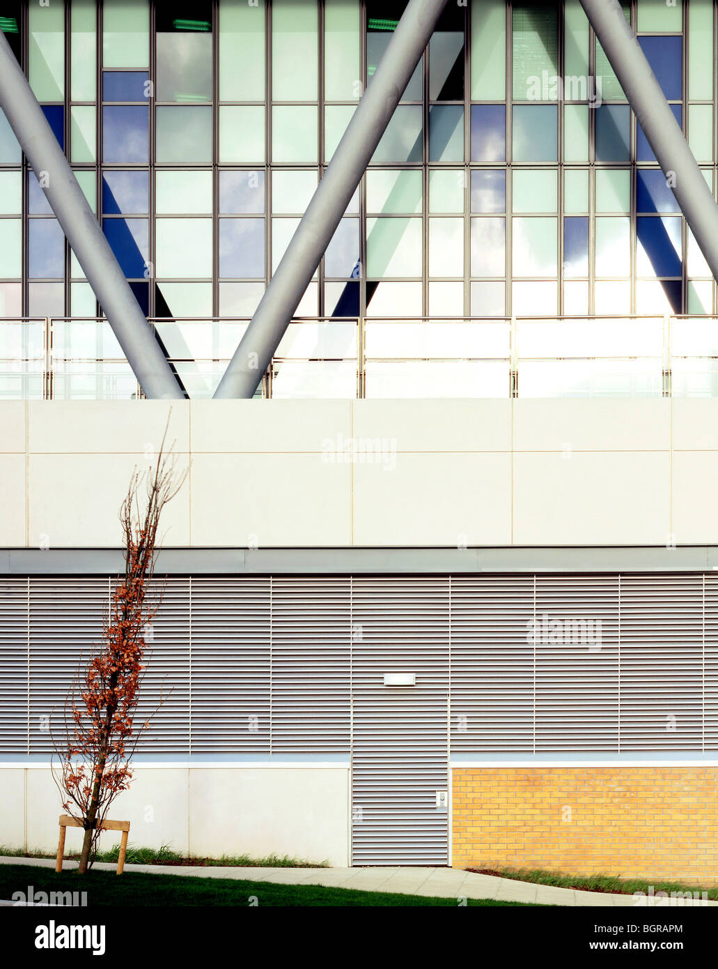 THE BEXLEY WING ST JAMES'S UNIVERSITY HOSPITAL, LEEDS, UNITED KINGDOM ...