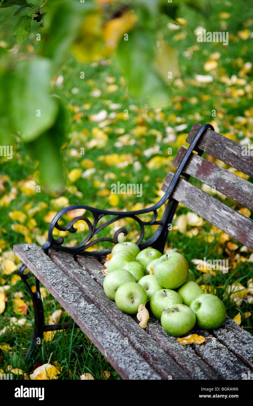 Swedish bench hi-res stock photography and images - Alamy