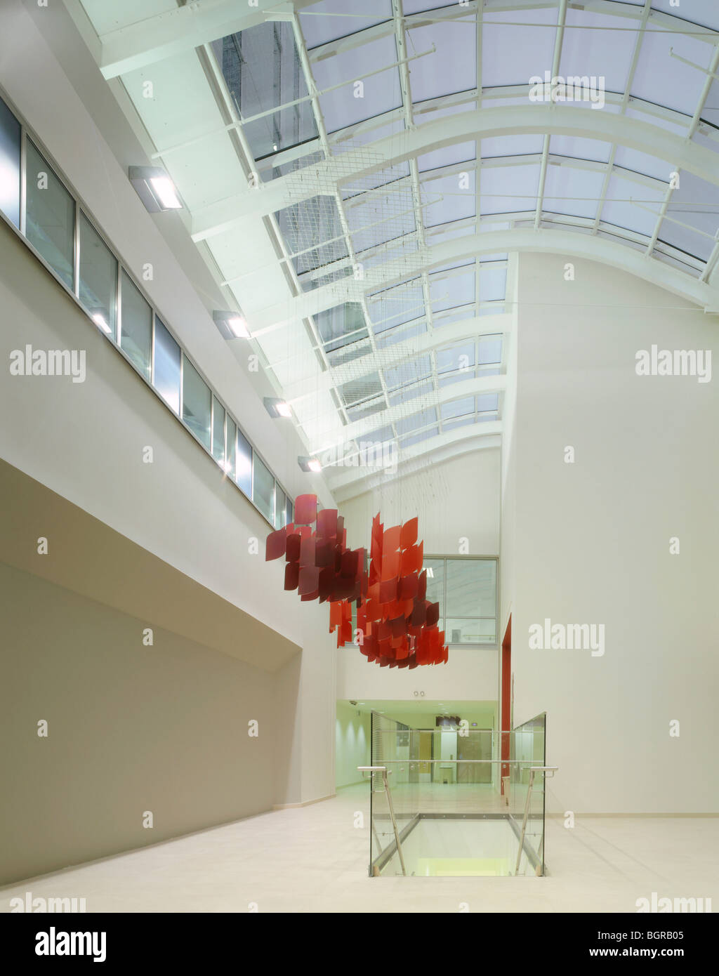 The Bexley Wing St James's University Hospital, Leeds, United Kingdom ...