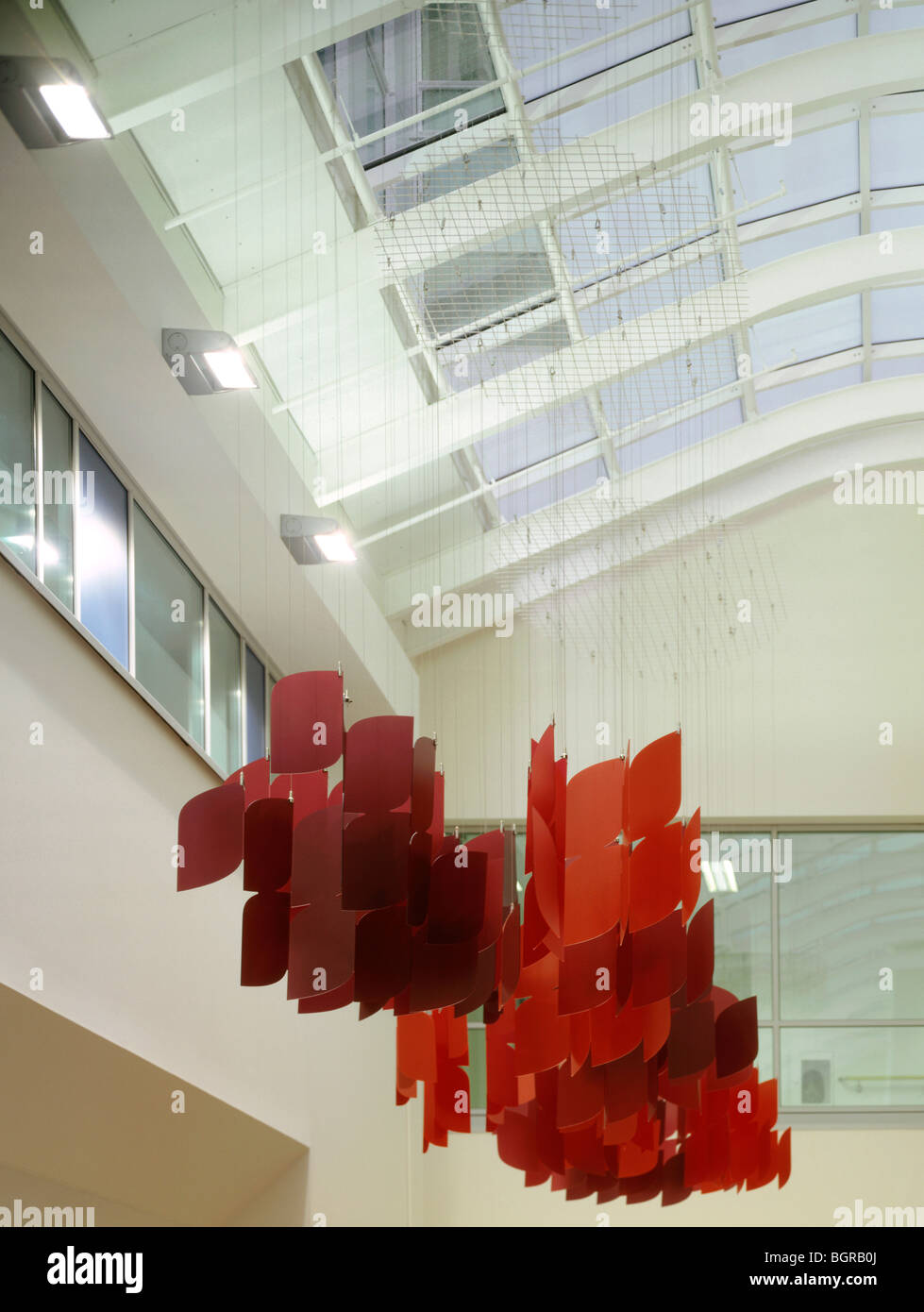 THE BEXLEY WING ST JAMES'S UNIVERSITY HOSPITAL, LEEDS, UNITED KINGDOM ...