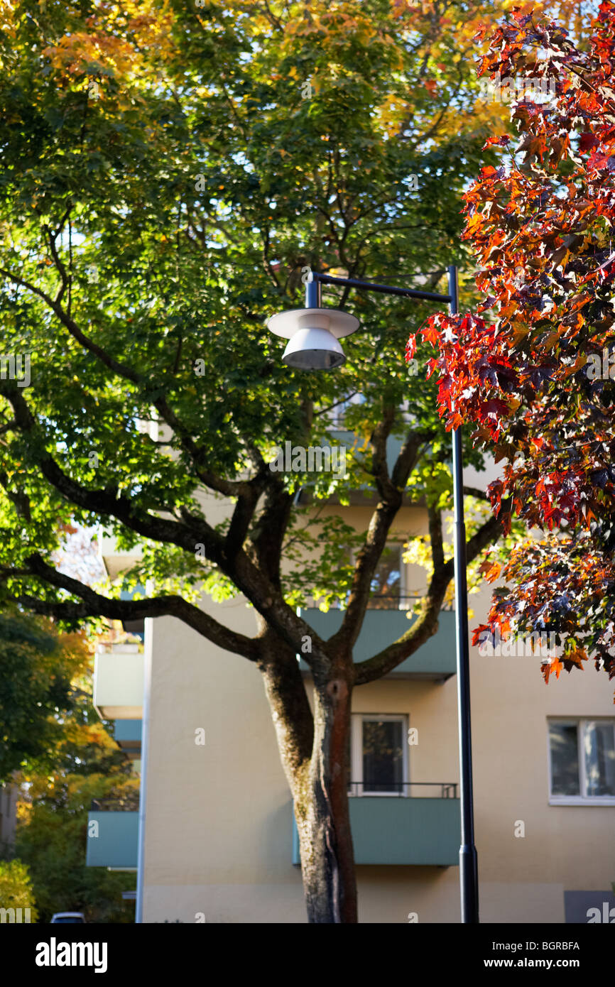 Park leaf trees in stockholm hi-res stock photography and images - Alamy