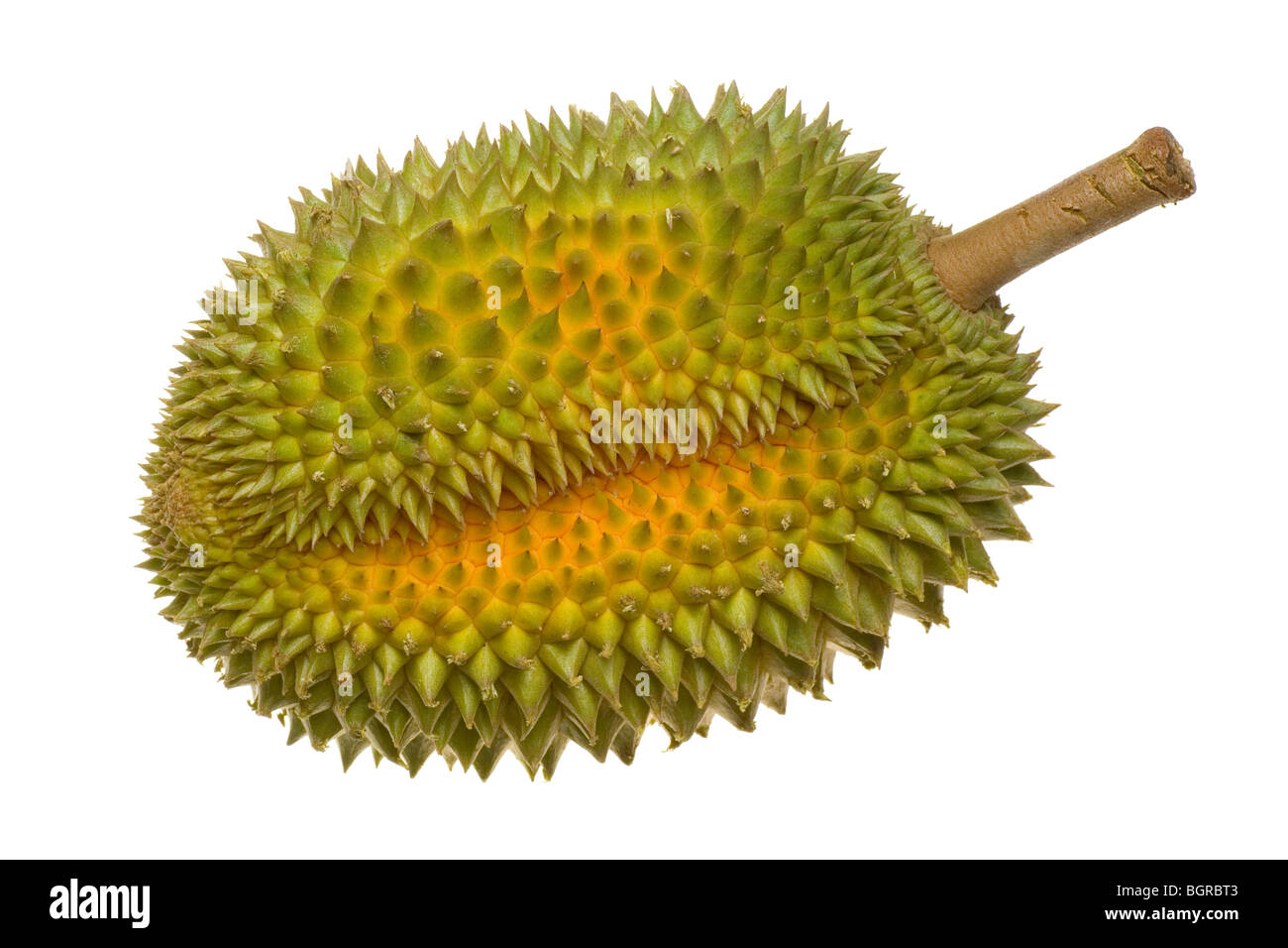 Single whole durian isolated on white background Stock Photo - Alamy