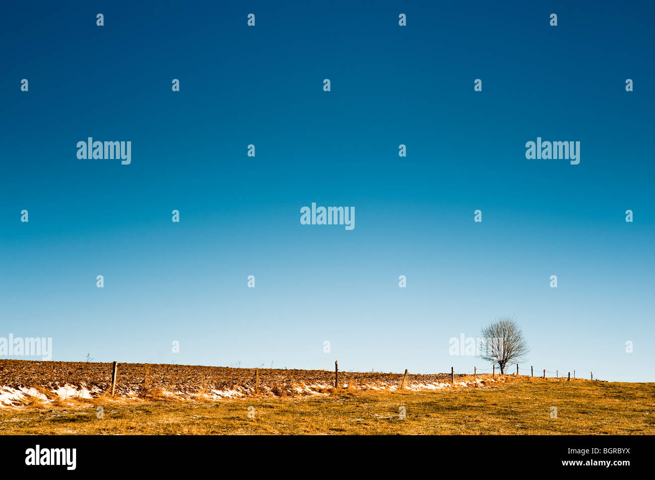 simple horizon with tree and fence in sunny day Stock Photo - Alamy