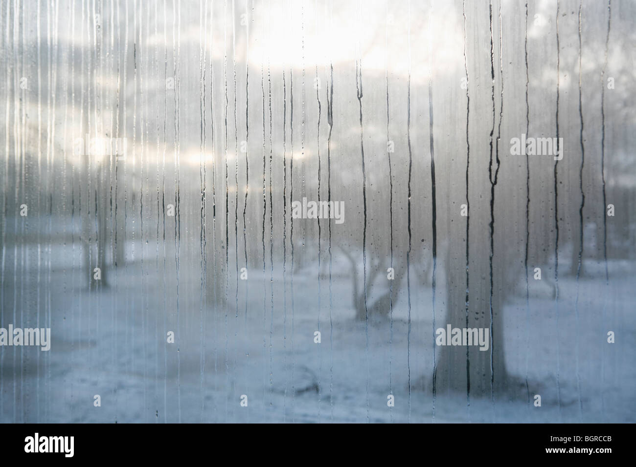 A misty window pane with trees outside Stock Photo - Alamy