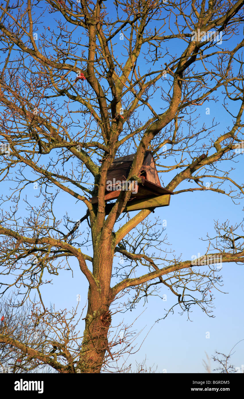 Raptor nesting box on the Hickling Broad National Nature Reserve ...