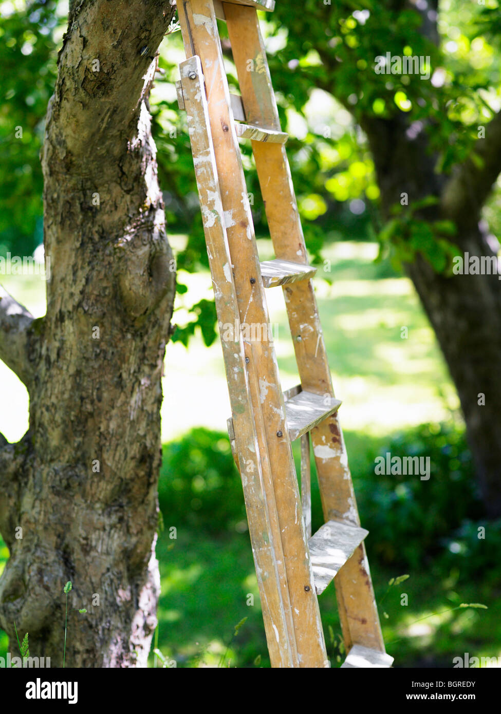 A ladder, close-up, Sweden Stock Photo - Alamy