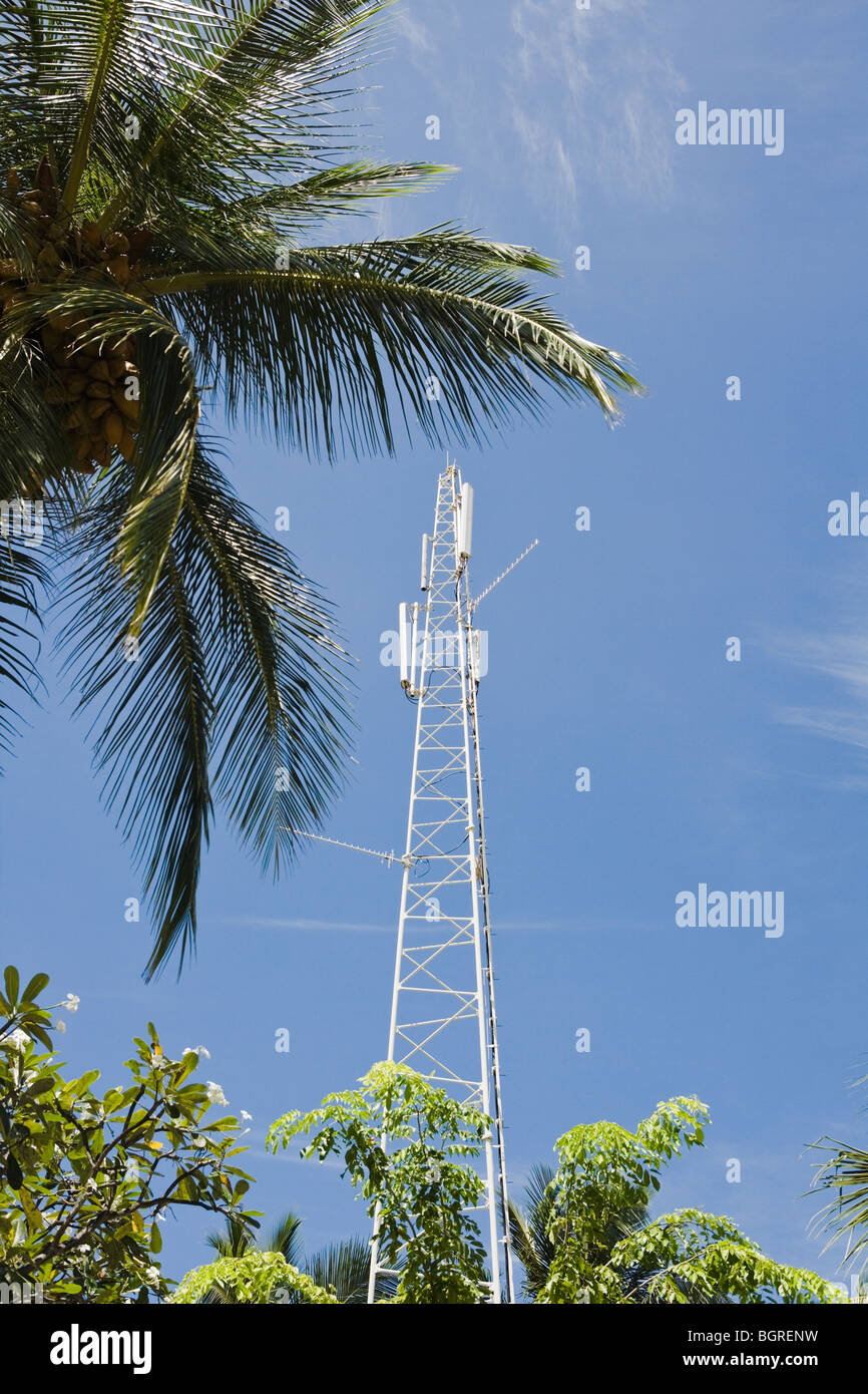Pylon and palm tree against a blue sky, the Maldives Stock Photo - Alamy