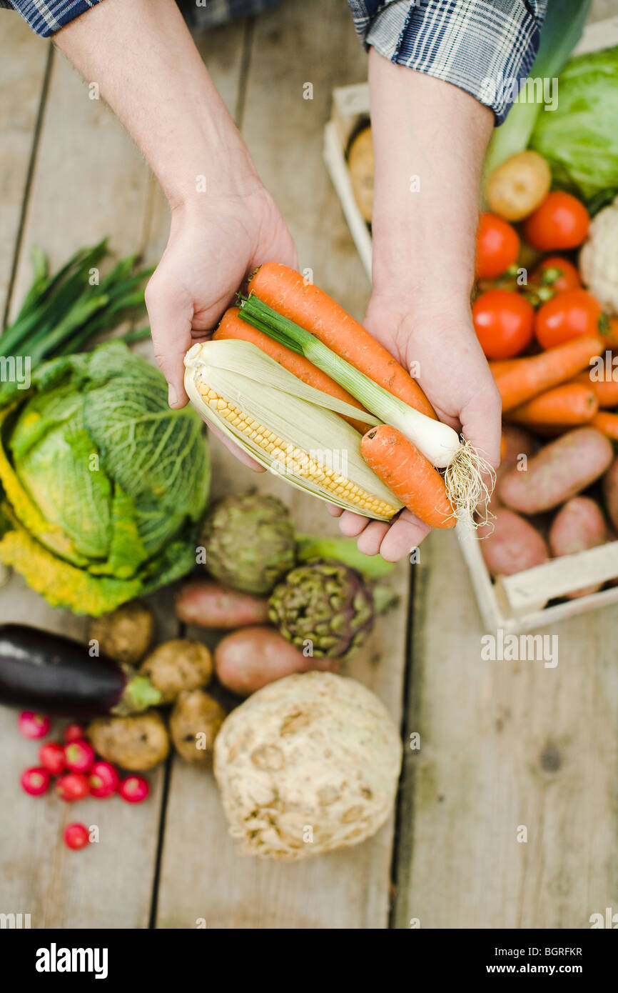 A lot of different vegetables Stock Photo - Alamy