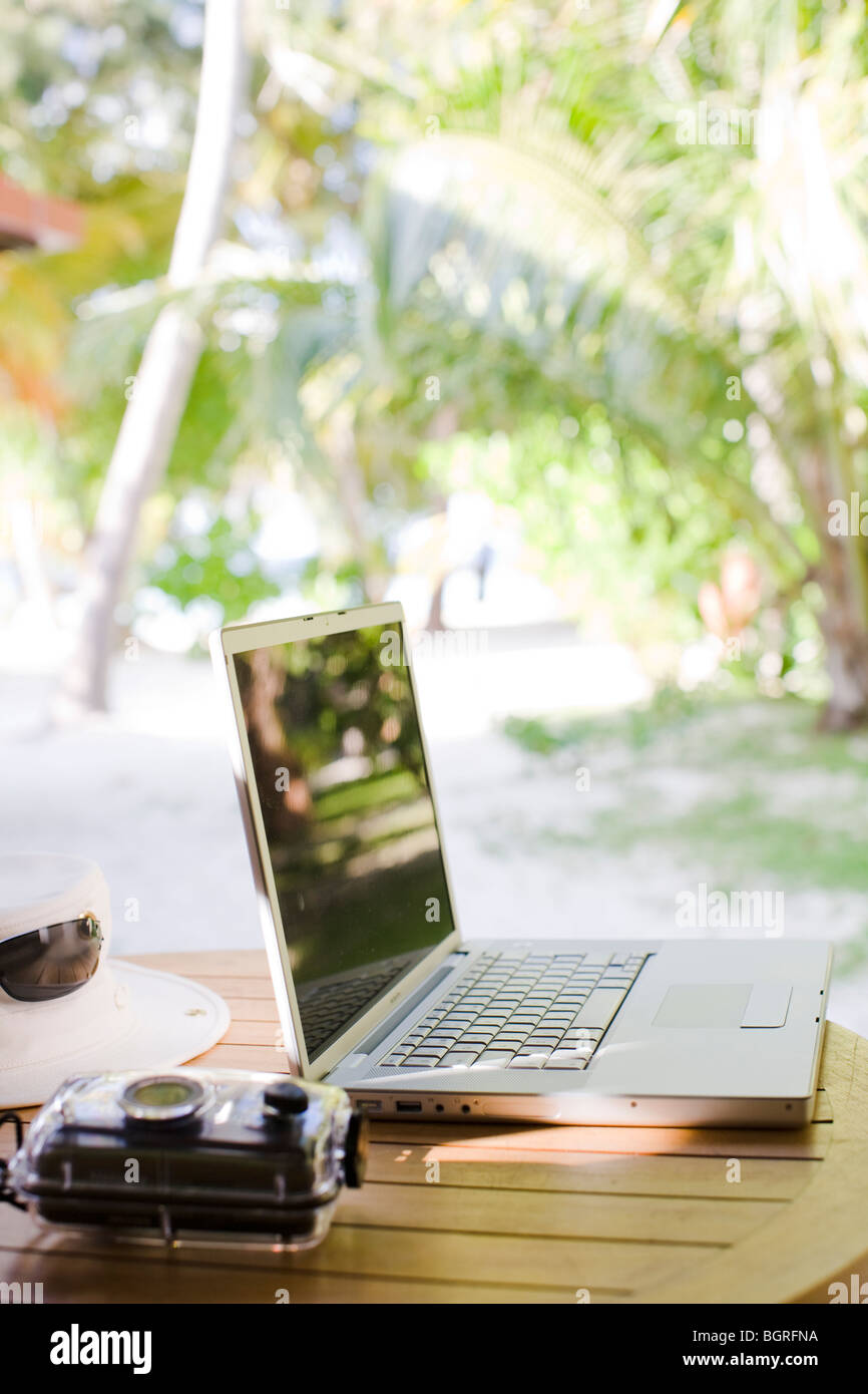 Palm tree symbolism hi-res stock photography and images - Alamy