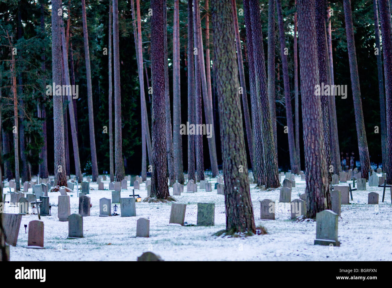 Woodland cemetery sweden hi-res stock photography and images - Alamy