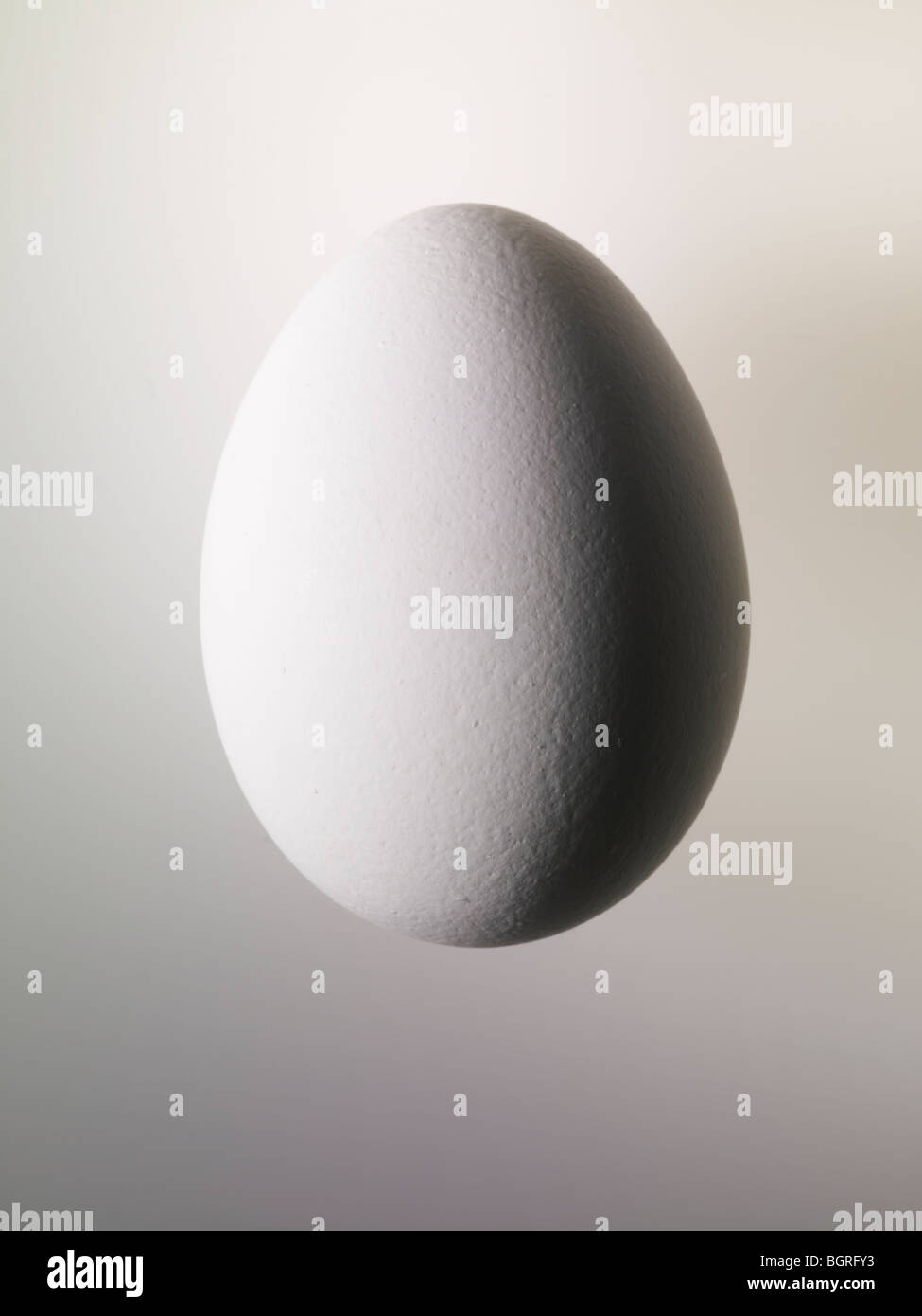 White egg on a white background Stock Photo - Alamy
